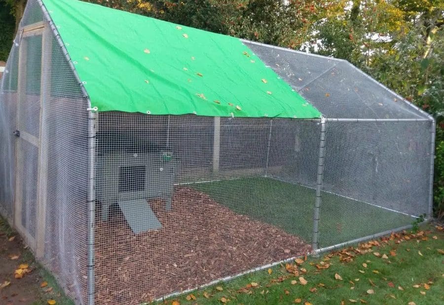 Category: Keeping Chickens | GardenLifeDirect